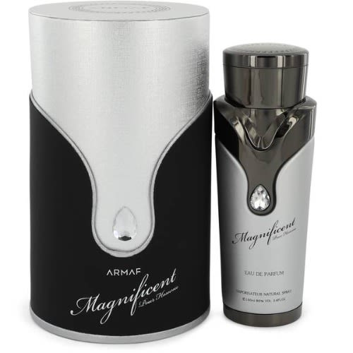 Armaf Magnificent EDP 100ml Perfume For Men - Fragrance Forte
